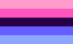 What does omnisexual mean and how does an omnisexual flag look? - HER