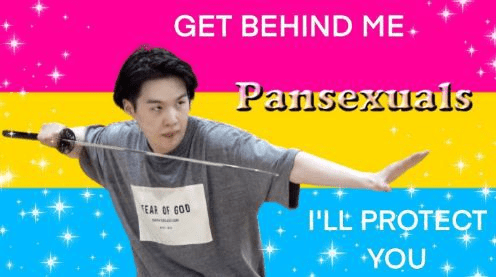 You’ll love these pansexual memes