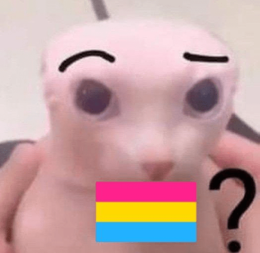 You’ll love these pansexual memes