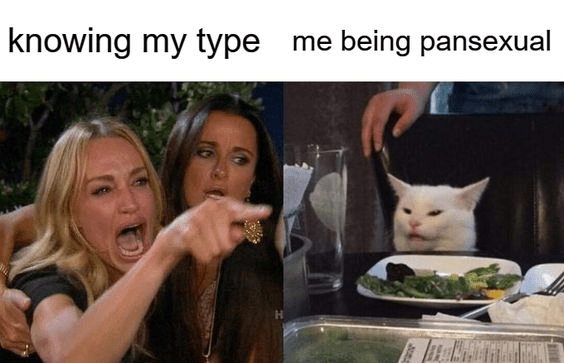 You’ll love these pansexual memes