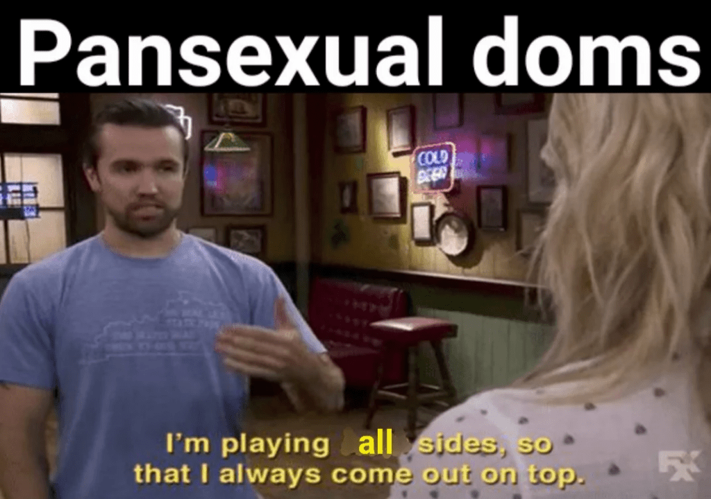 You’ll love these pansexual memes