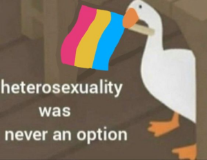 You’ll love these pansexual memes