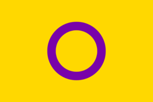 The evolution of LGBT+ pride flags: variations, history, & meanings