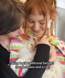 Sapphic Memes: Where Queer Humor Meets Relatable Chaos - HER